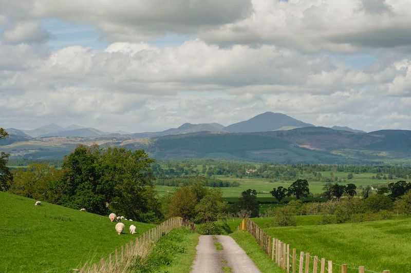 Arnprior Farm - Scotland’s Original Pumpkin Patch & Glamping Site